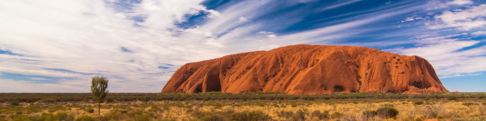 Tony Webb - Ubiquity University