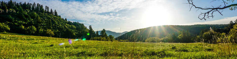 Katharine Roske - Ubiquity University