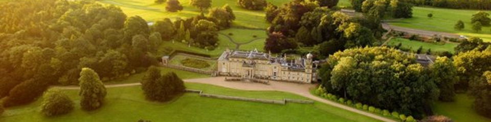 Roger Tempest - Ubiquity University