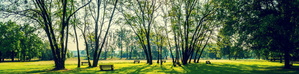 David Sherrin, CRP, GMS-T - Ubiquity University